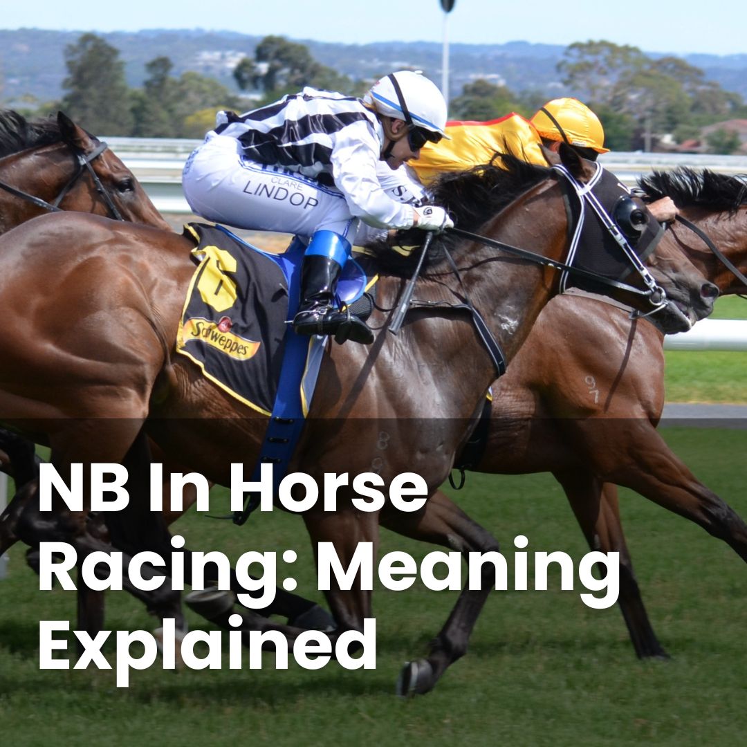 NB In Horse Racing: Meaning Explained - BestCasinoHQ