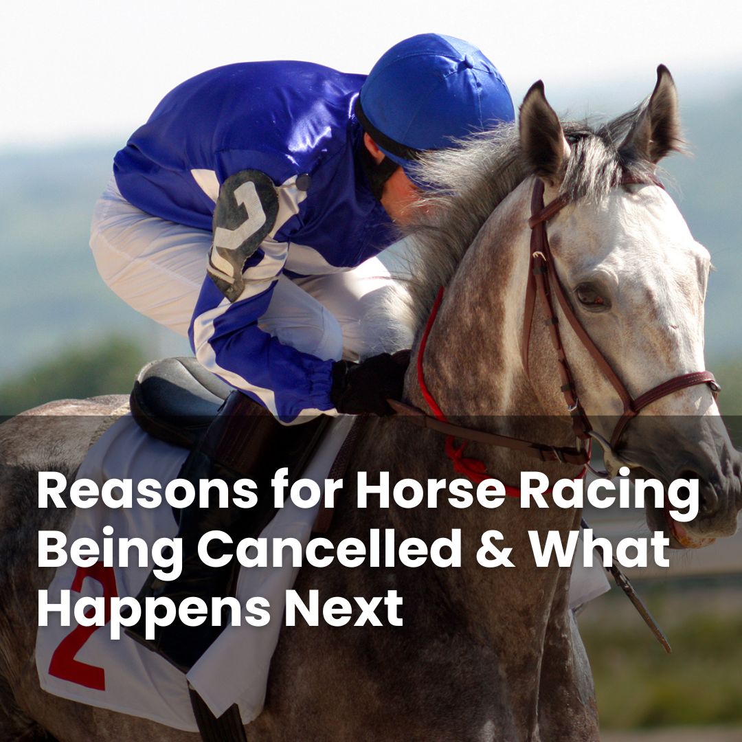 Reasons for Horse Racing Being Cancelled & What Happens Next - BestCasinoHQ