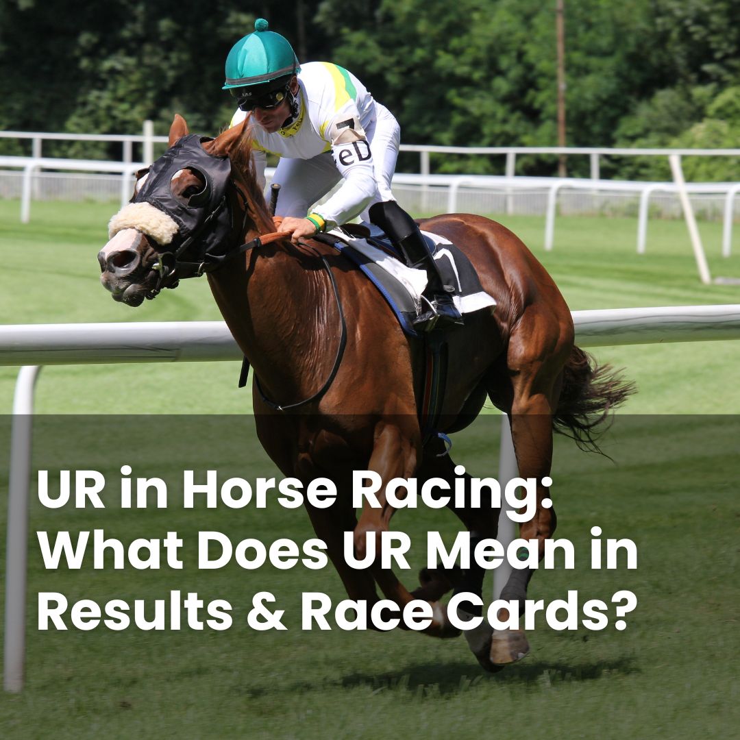 UR in Horse Racing: What Does UR Mean in Results & Race Cards ...
